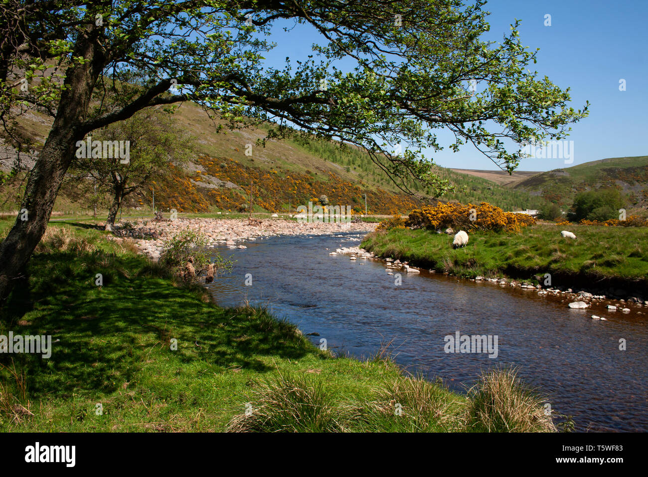 Breamish valley hi-res stock photography and images - Alamy
