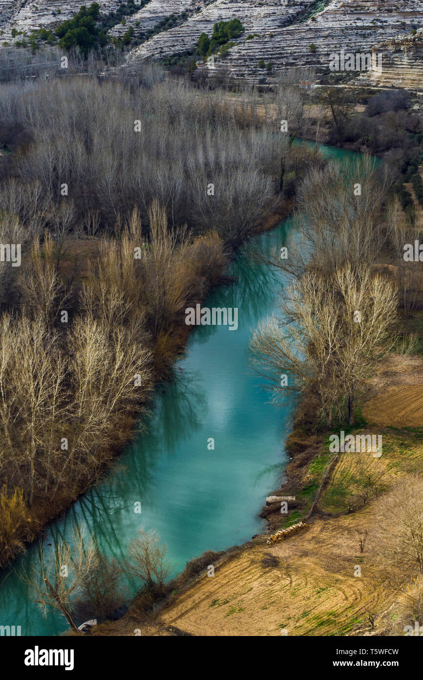 Arbol del rio hi-res stock photography and images - Alamy