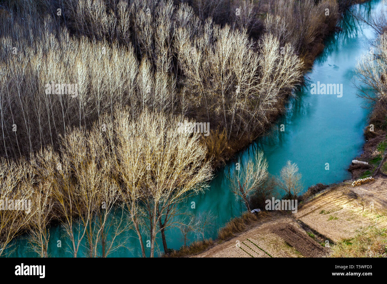Arbol del rio hi-res stock photography and images - Alamy