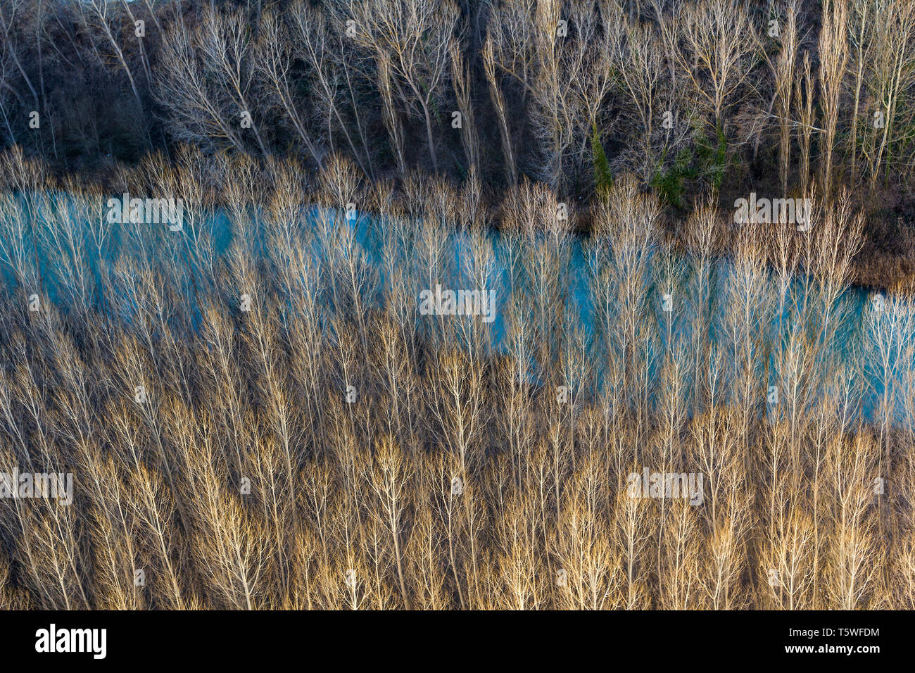 Arbol del rio hi-res stock photography and images - Alamy