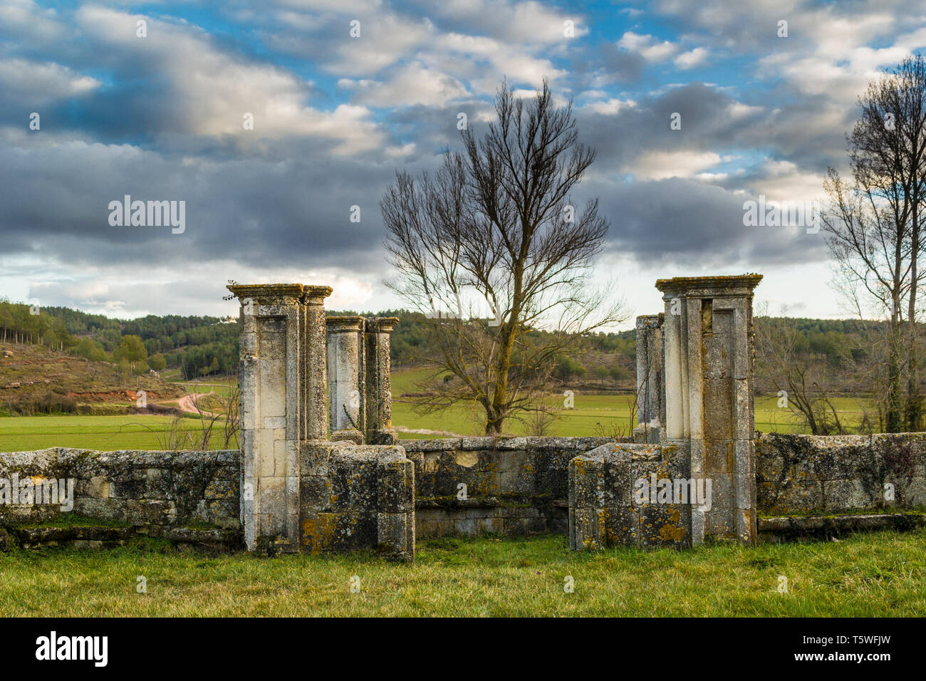 Ojeda hi-res stock photography and images - Alamy