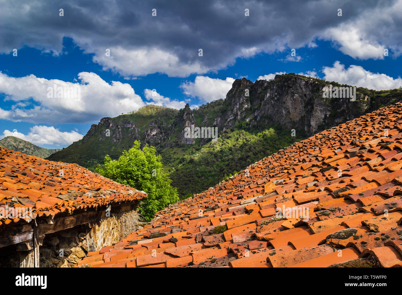 Mogrovejo hi-res stock photography and images - Alamy