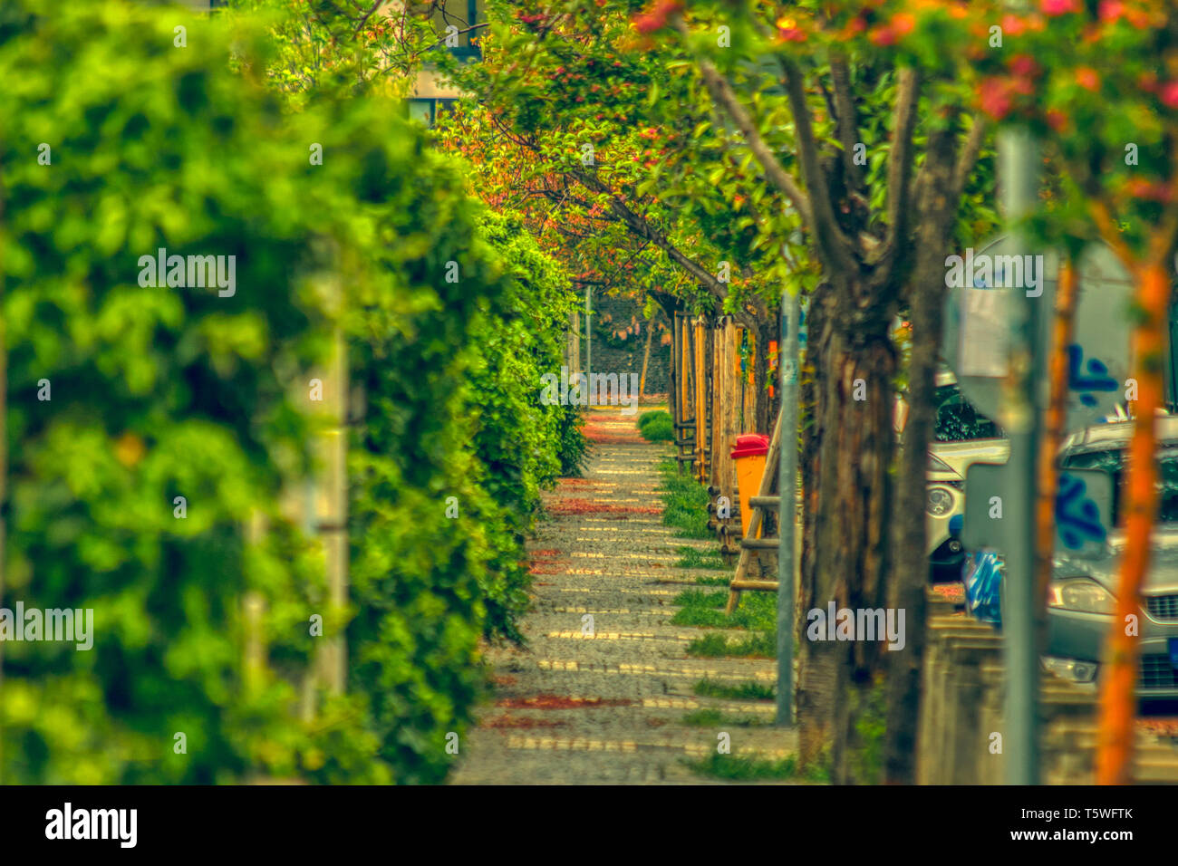 Path sunny day hi-res stock photography and images - Alamy