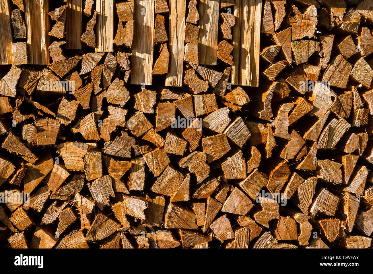 Tronco tronco tronco tronco madera hi-res stock photography and images ...