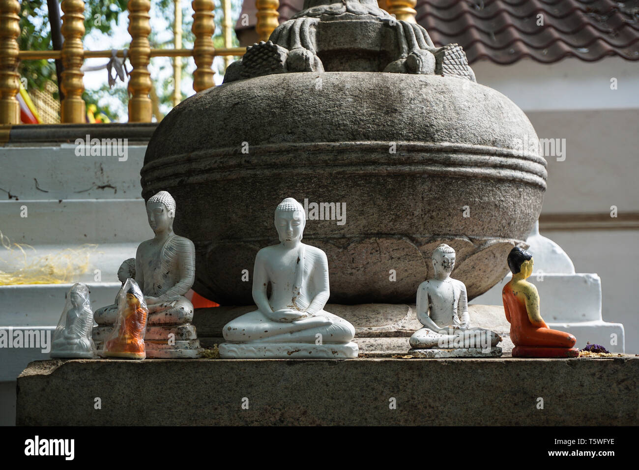 Multiple small Buddha figurines in the temple in Sri Lanka Stock Photo ...