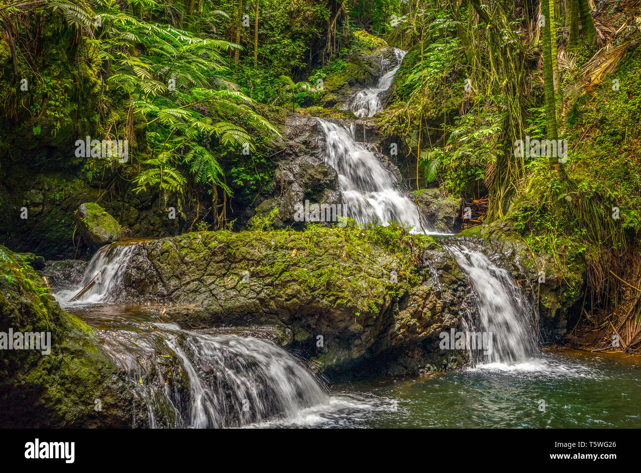 Onomea Falls located north of Hilo on the Big Islnd of Hawaii Stock ...