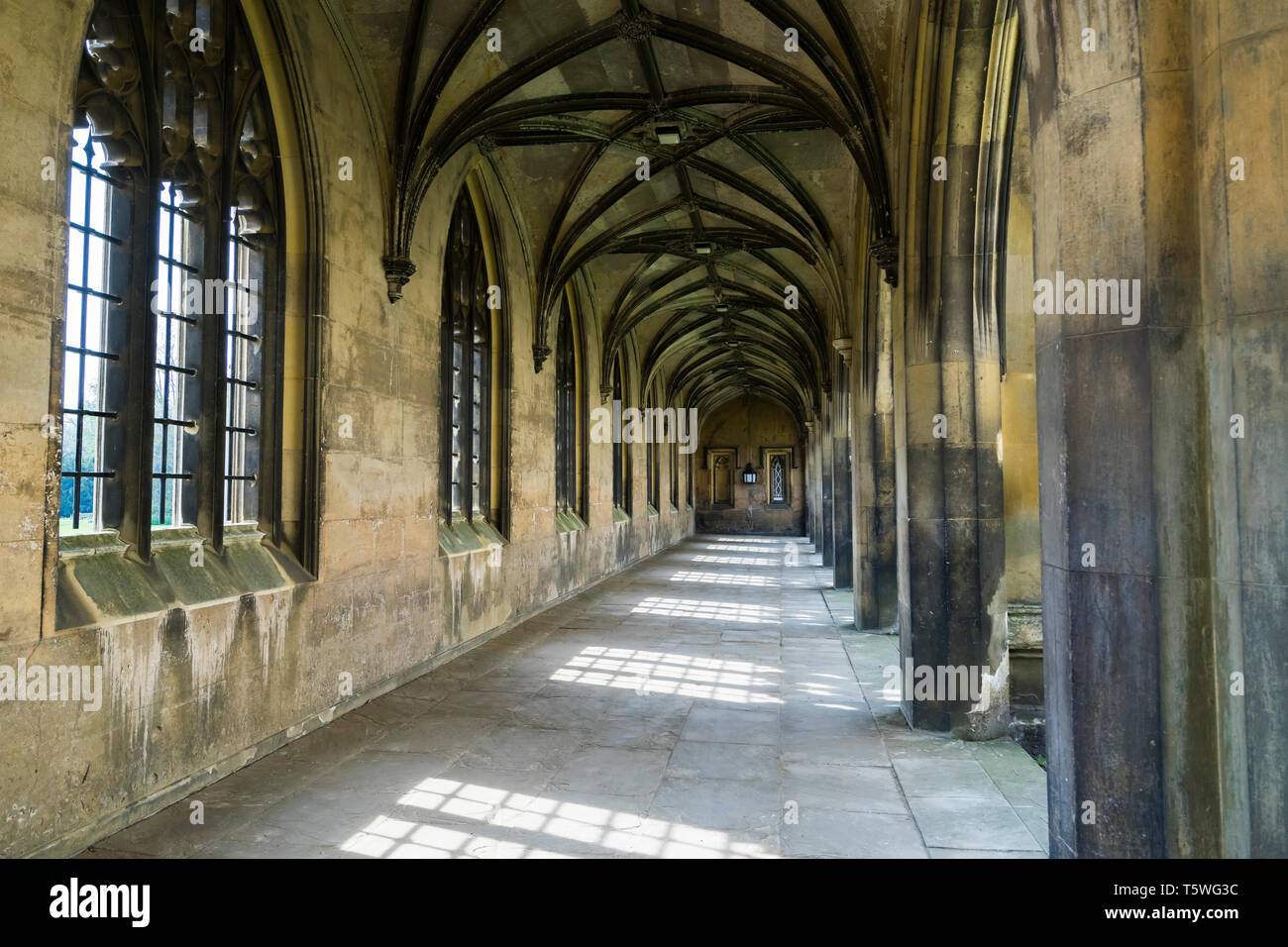 New court cloister hi-res stock photography and images - Alamy