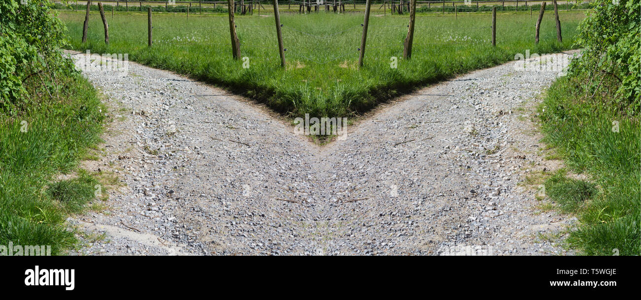 Fairytale forest landscape alley way outdoor space park nature ...