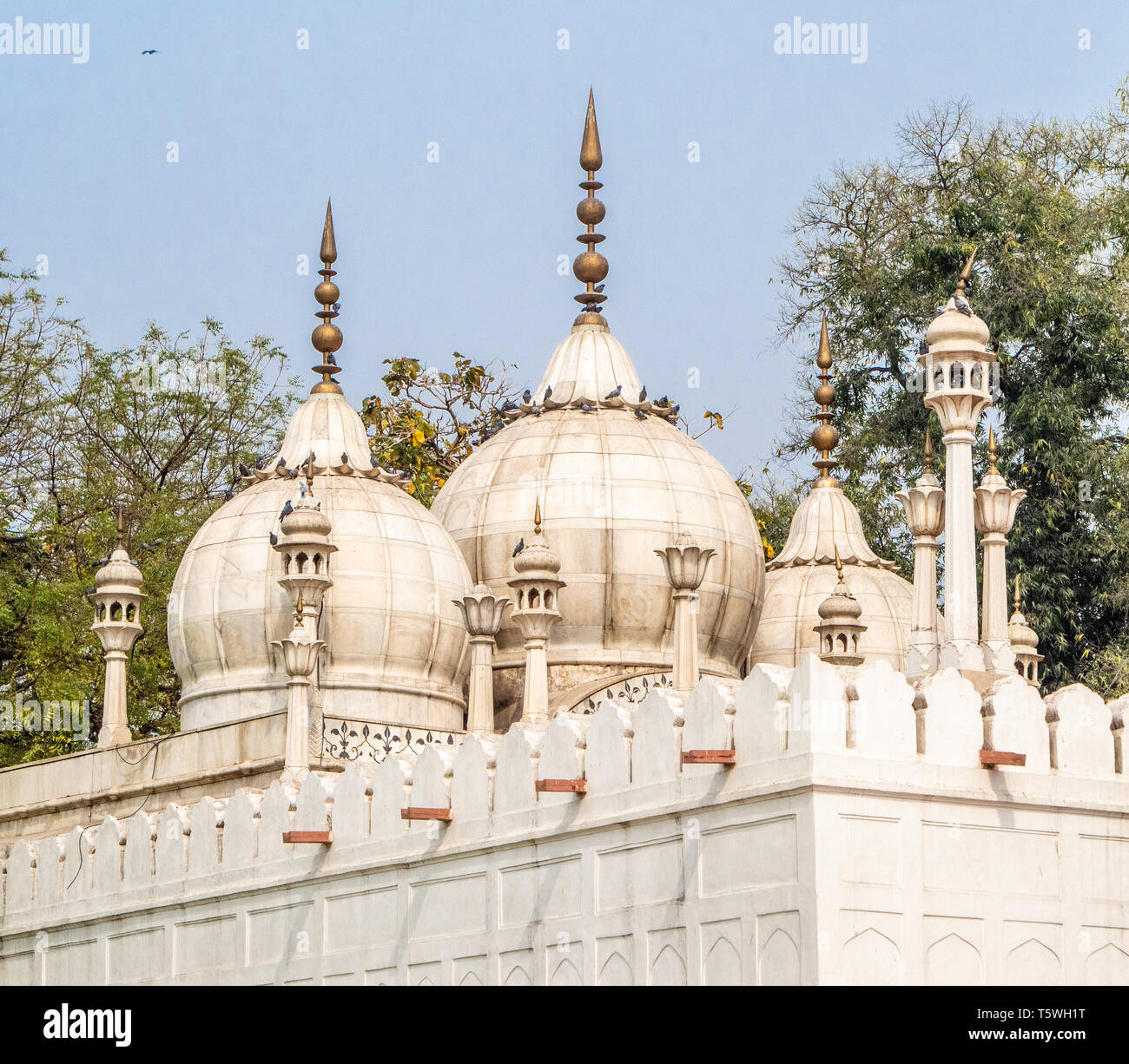 Aurangzeb Stock Photos & Aurangzeb Stock Images - Alamy