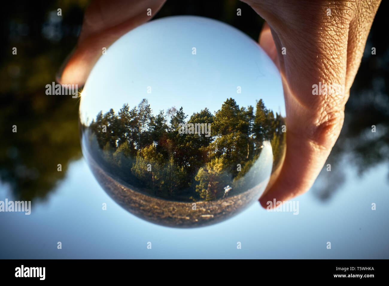 Upside down landscape of beautiful sunny forest with woman's hand Stock ...