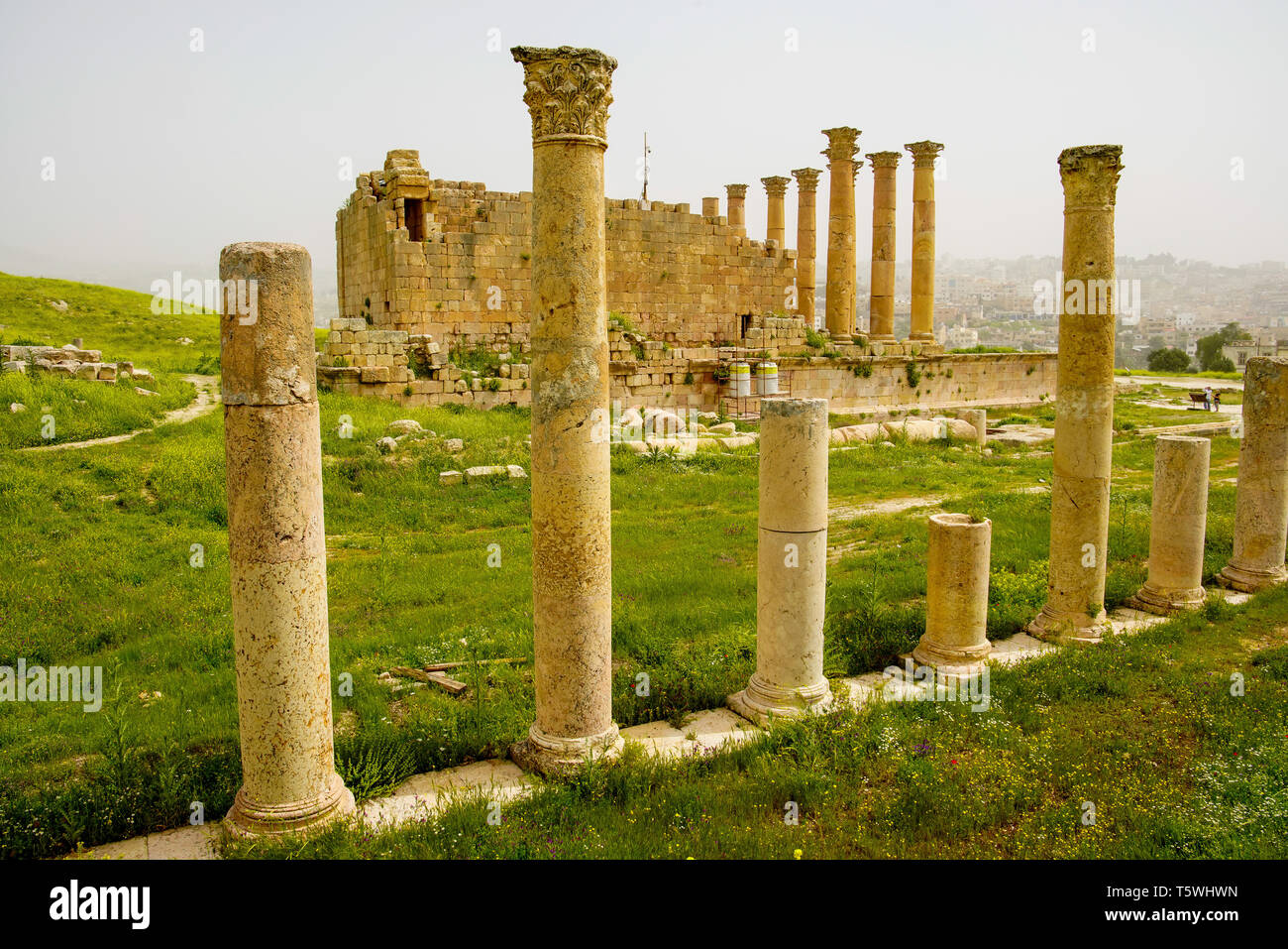 Temple of Artemis, Jerash archeological site, Jordan Stock Photo - Alamy
