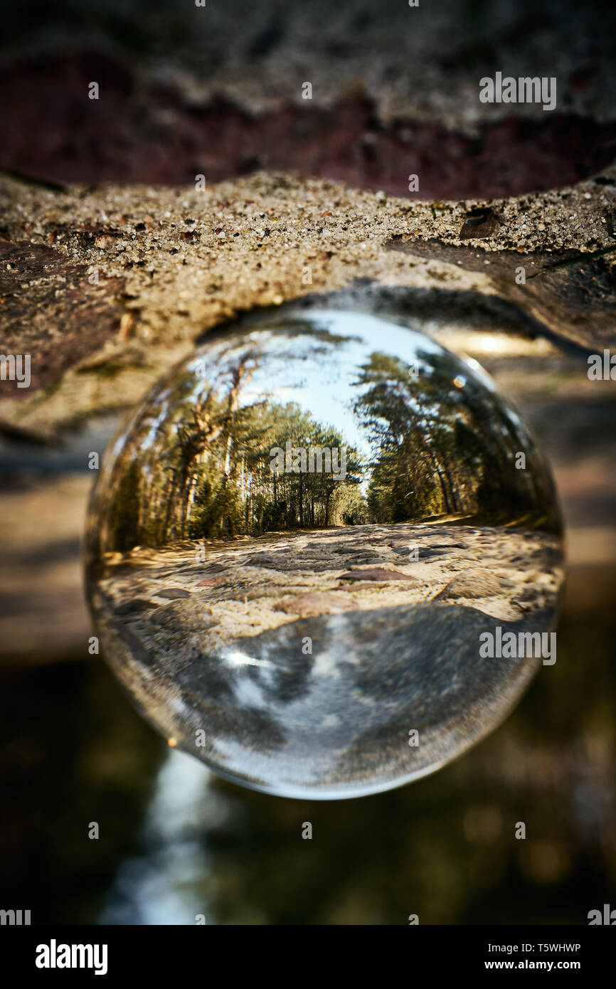 Upside down landscape of beautiful sunny forest Stock Photo - Alamy