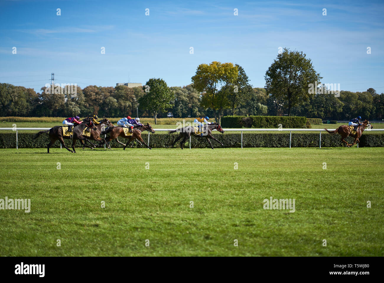 Horse Race Track Background