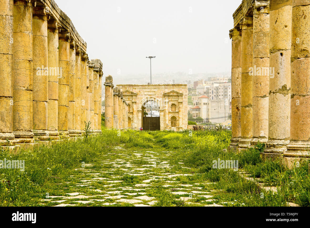 North Gate and Cardo Maximus, Jerash archeological site, Jordan Stock ...