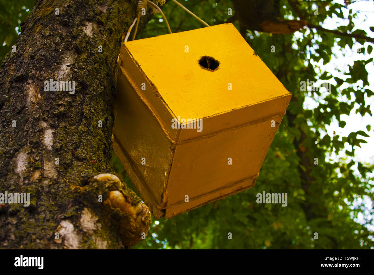 birdhouse on the tree Stock Photo - Alamy