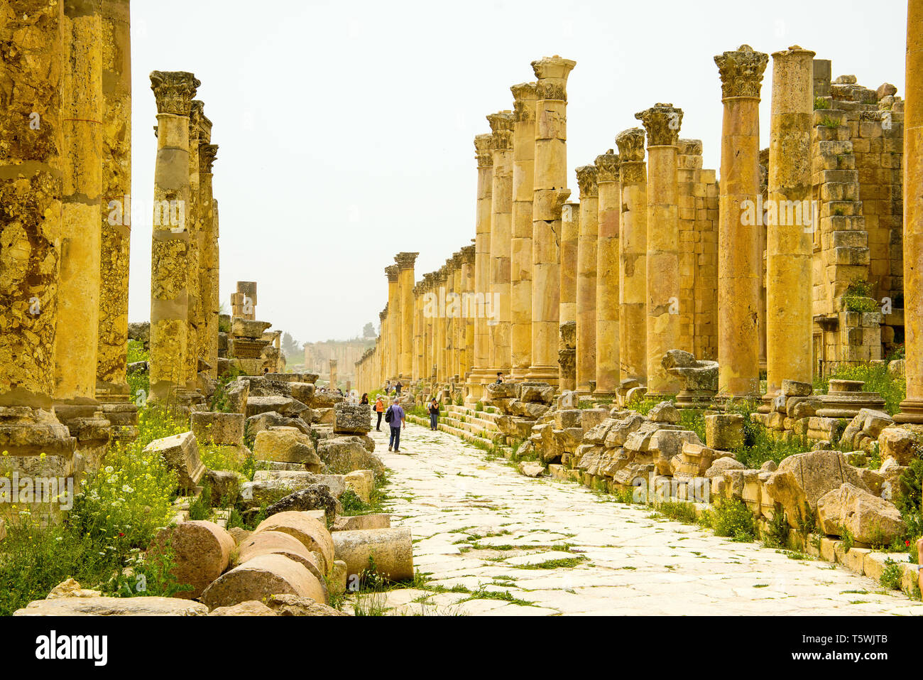 Colonnaded Street, Cardo Maximus, Jerash archeological site, Jordan ...