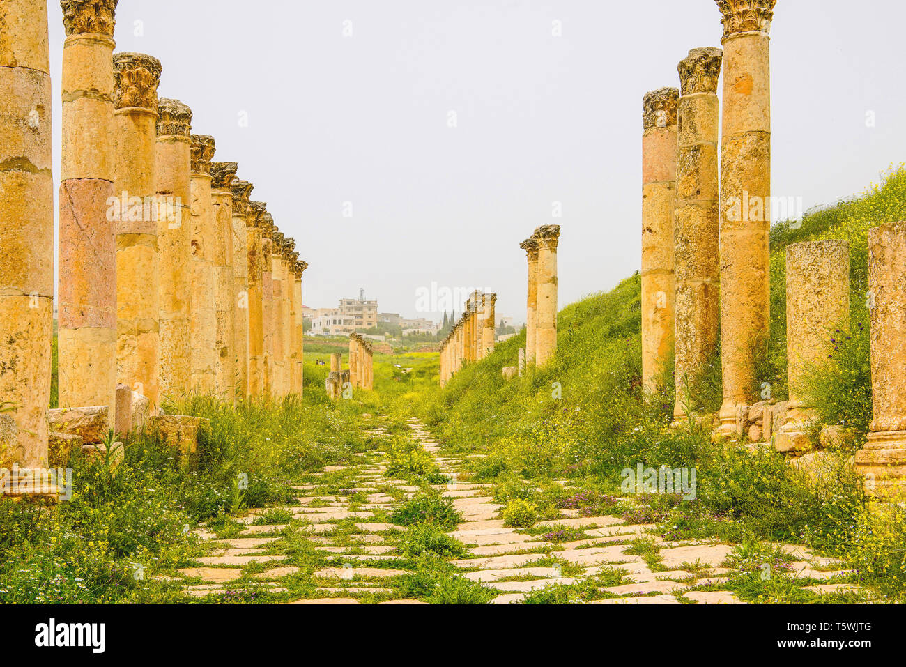 Southern Decumanus, Jerash archeological site, Jordan Stock Photo - Alamy