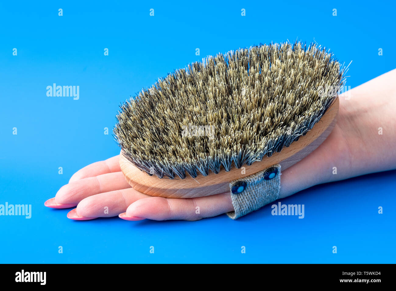 Horsehair brush hi-res stock photography and images - Alamy