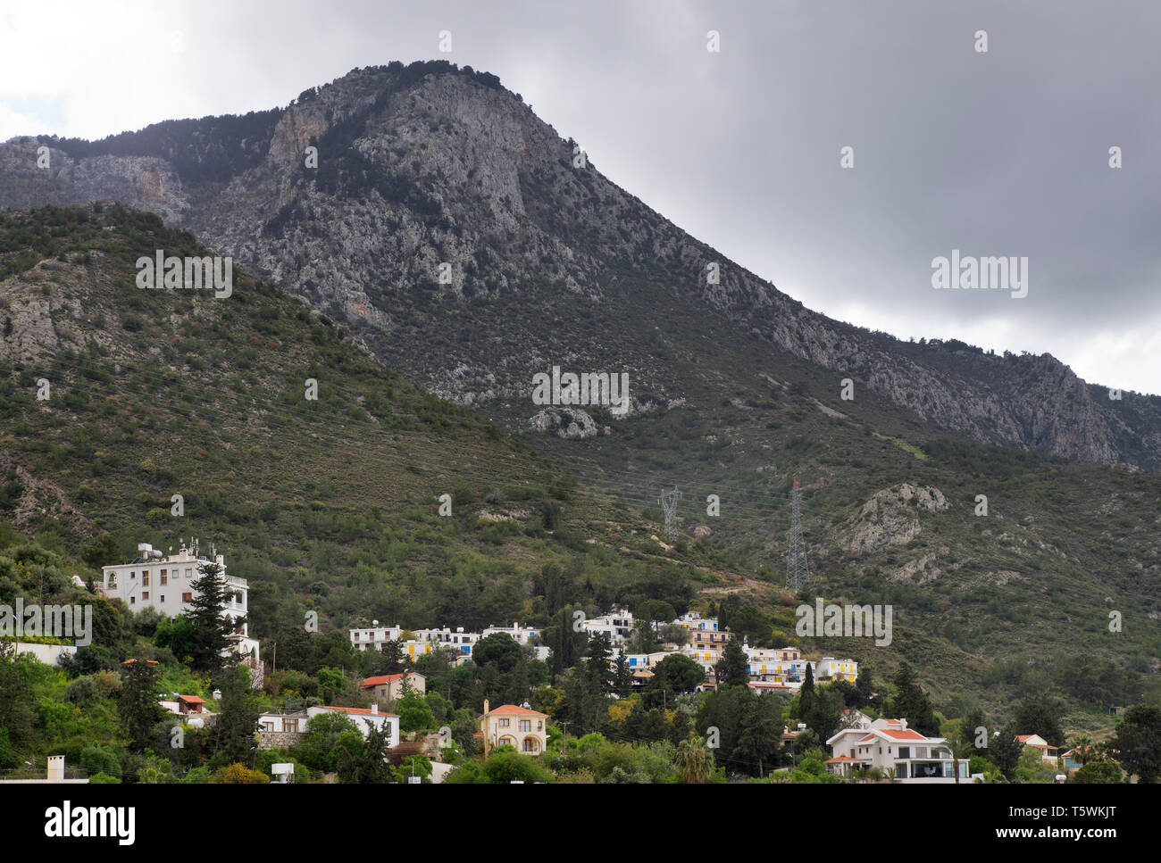 Bellapais tree hi-res stock photography and images - Alamy
