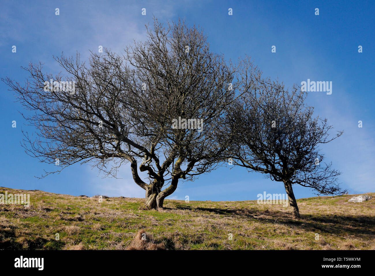 Sky windy hi-res stock photography and images - Alamy