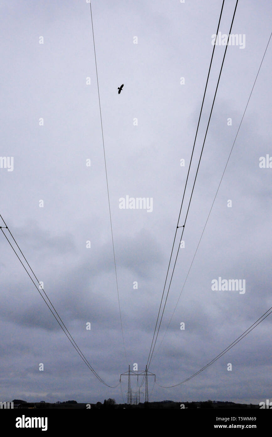 Free flight hi-res stock photography and images - Alamy