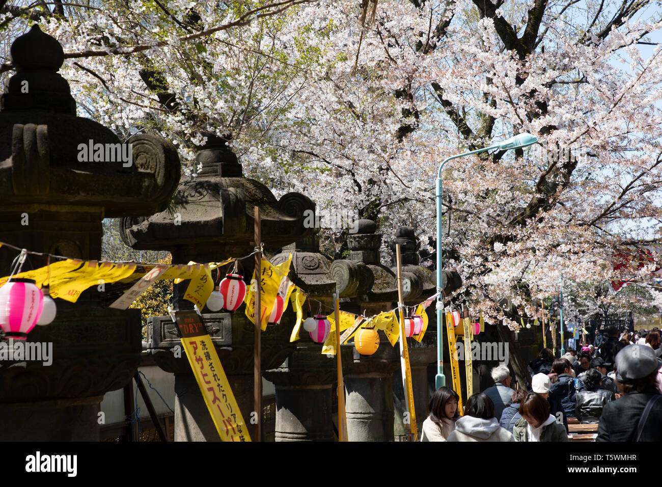Scenery in japanese park hi-res stock photography and images - Alamy