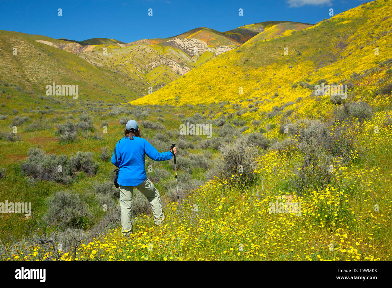 Hiker in Temblor Range, Carrizo Plain National Monument, California ...