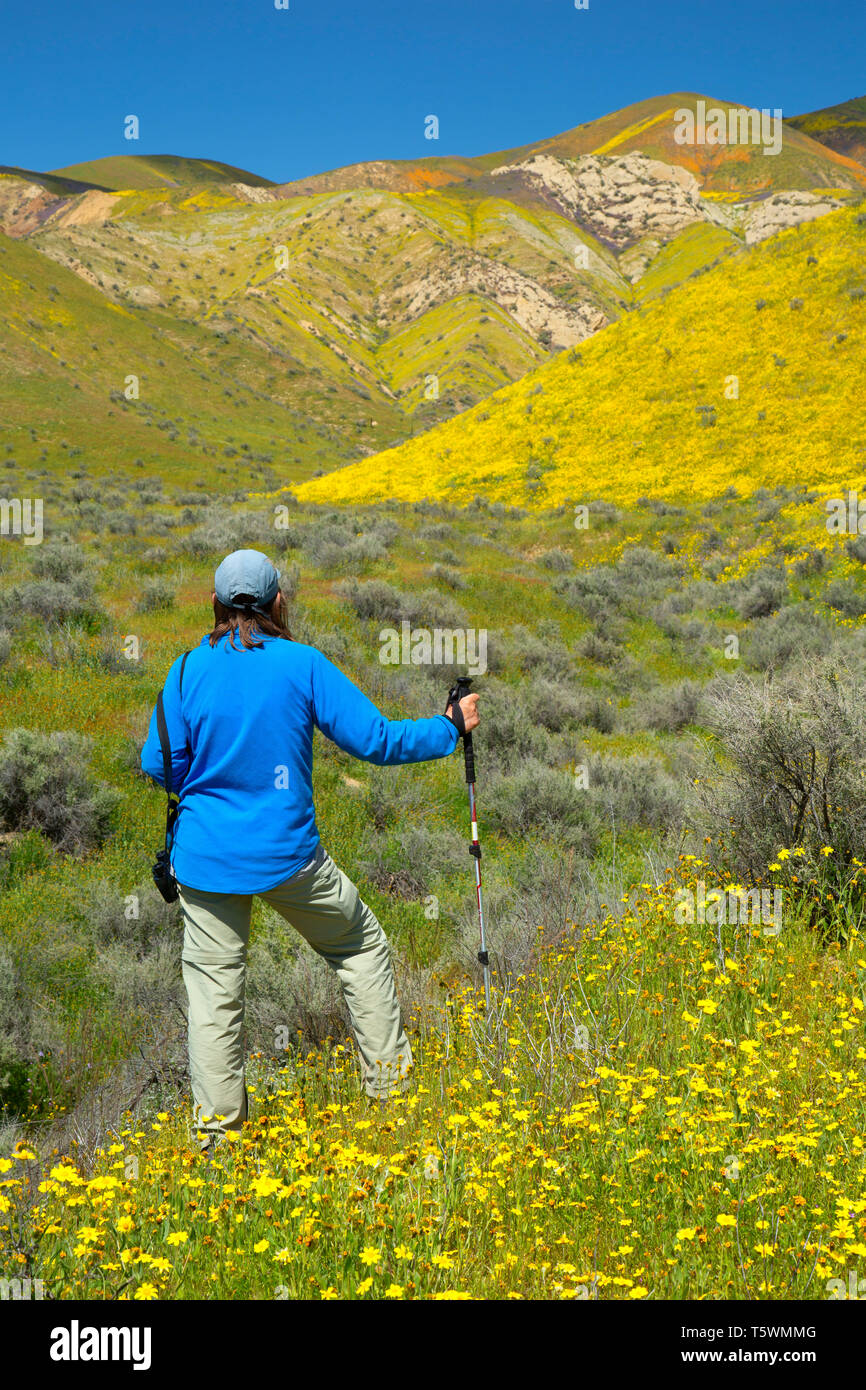 Hiker in Temblor Range, Carrizo Plain National Monument, California ...