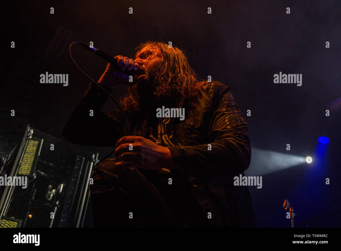 Norma jean bassist hi-res stock photography and images - Alamy