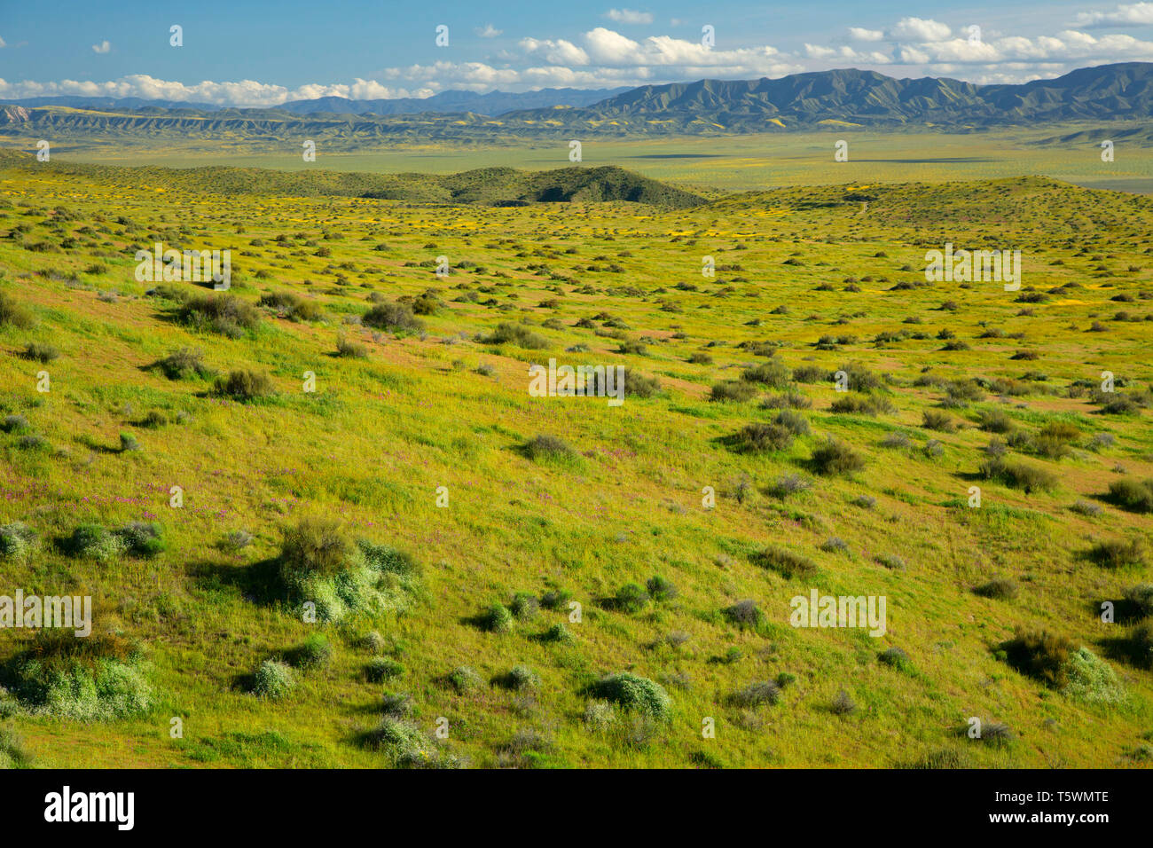Temblor Range foothills, Carrizo Plain National Monument, California ...