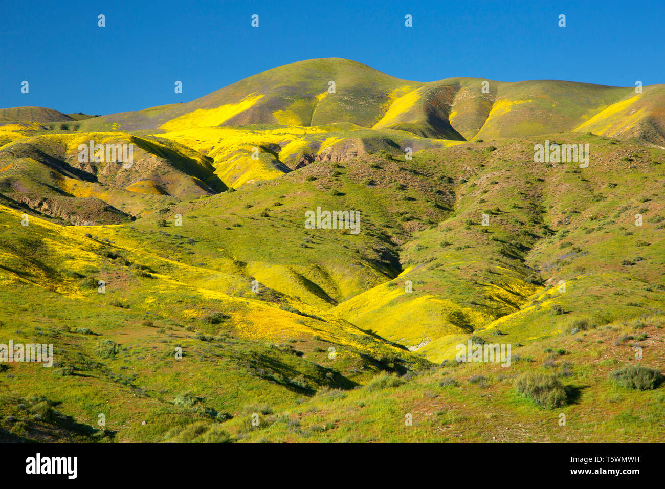Temblor Range, Carrizo Plain National Monument, California Stock Photo ...