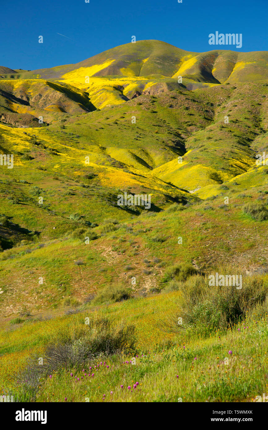 Temblor range hi-res stock photography and images - Alamy