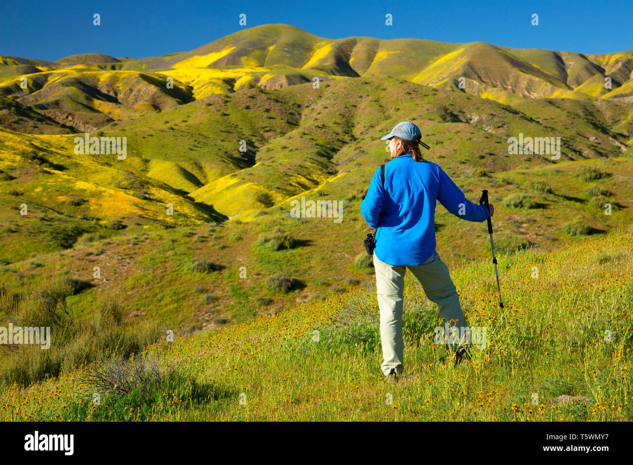 Hiker in Temblor Range, Carrizo Plain National Monument, California ...