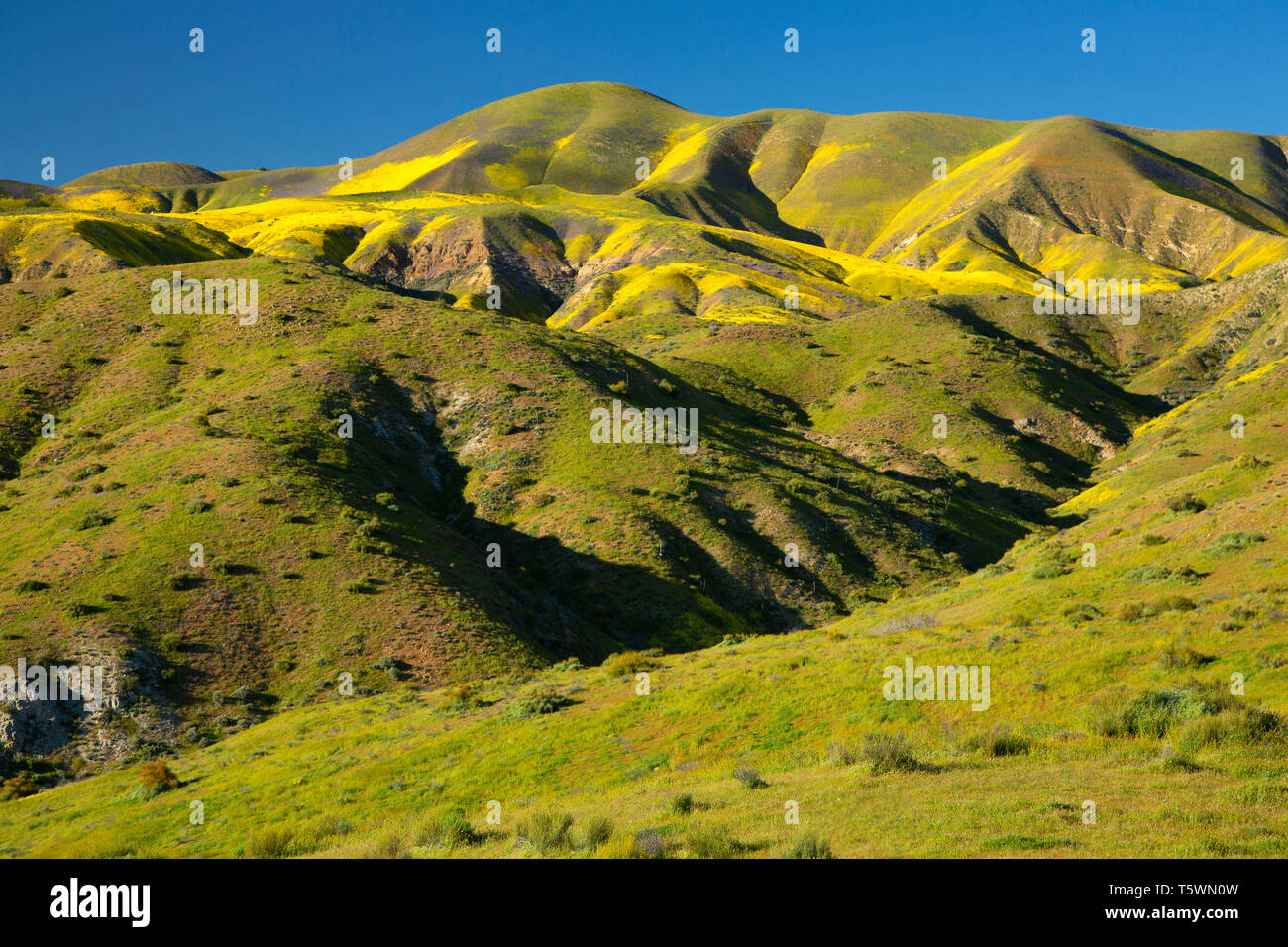 Temblor range hi-res stock photography and images - Alamy