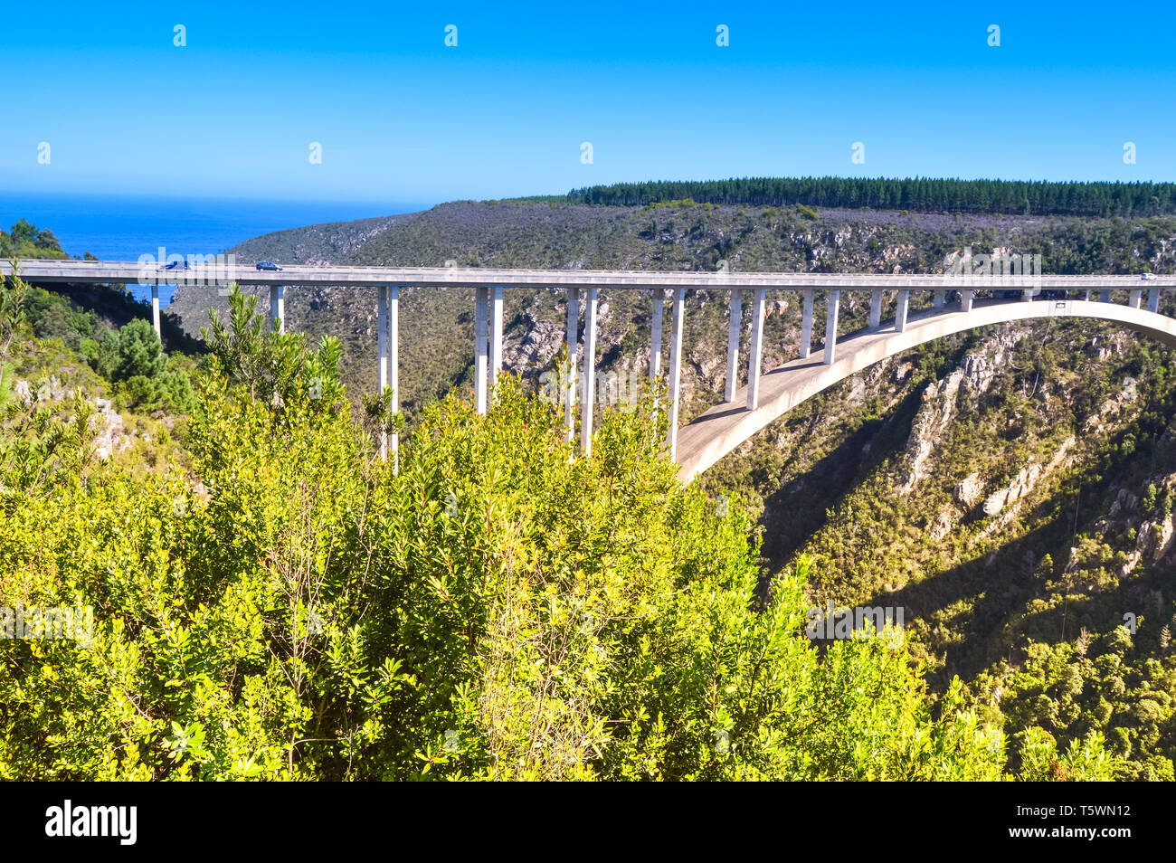 Bloukrans bunjee jumping bridge is an arch bridge located near Nature's ...