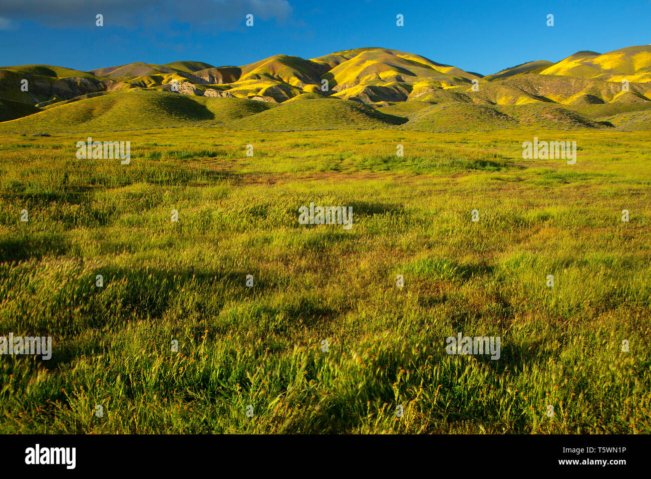 Temblor range hi-res stock photography and images - Alamy