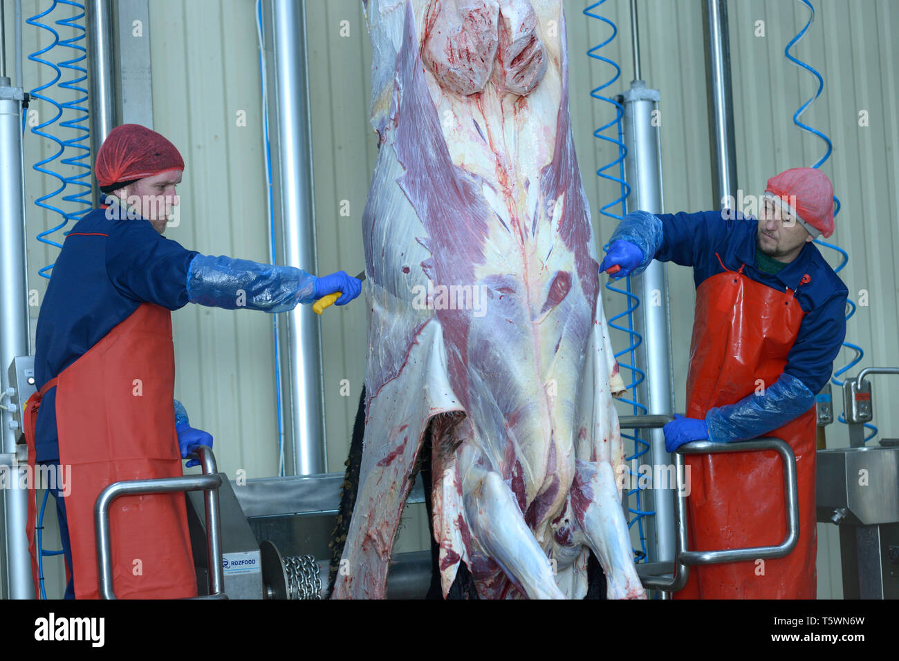 Monfort Beef Slaughterhouse