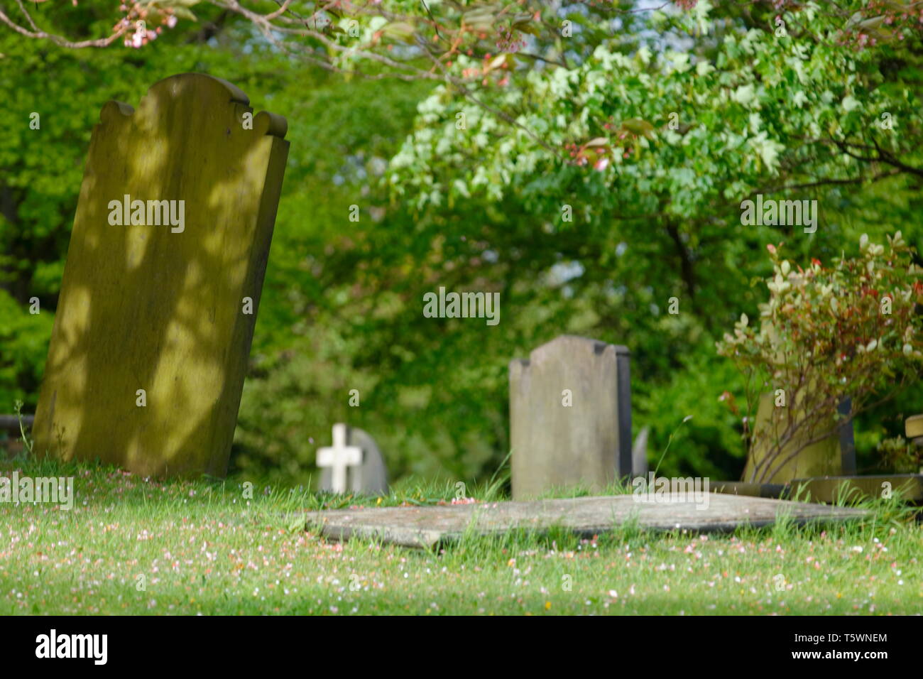 Grave stone si a cemetery in Leeds Stock Photo - Alamy