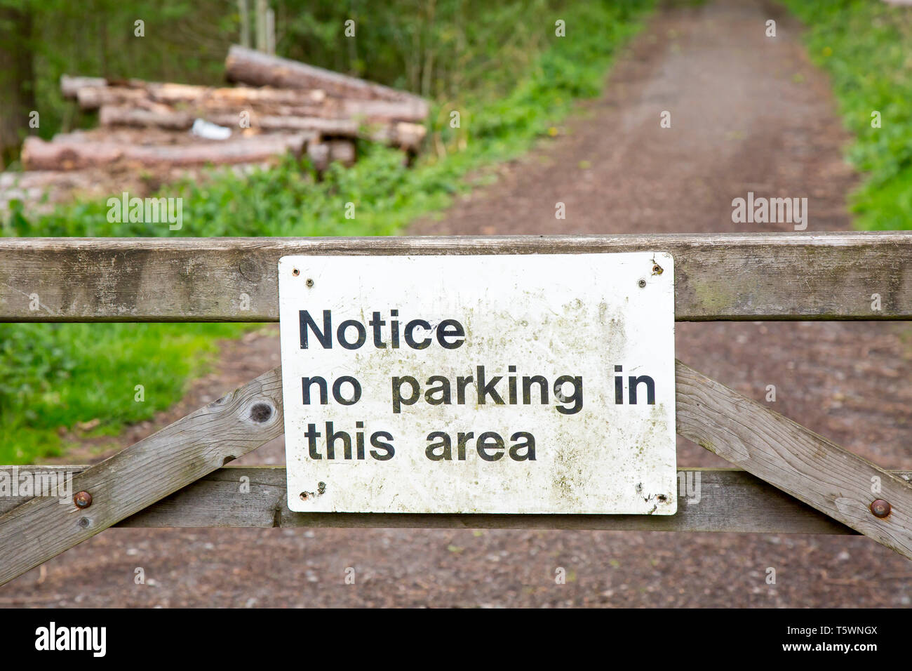 No Parking sign on wooden gate outdoors in UK woodland due to forestry ...