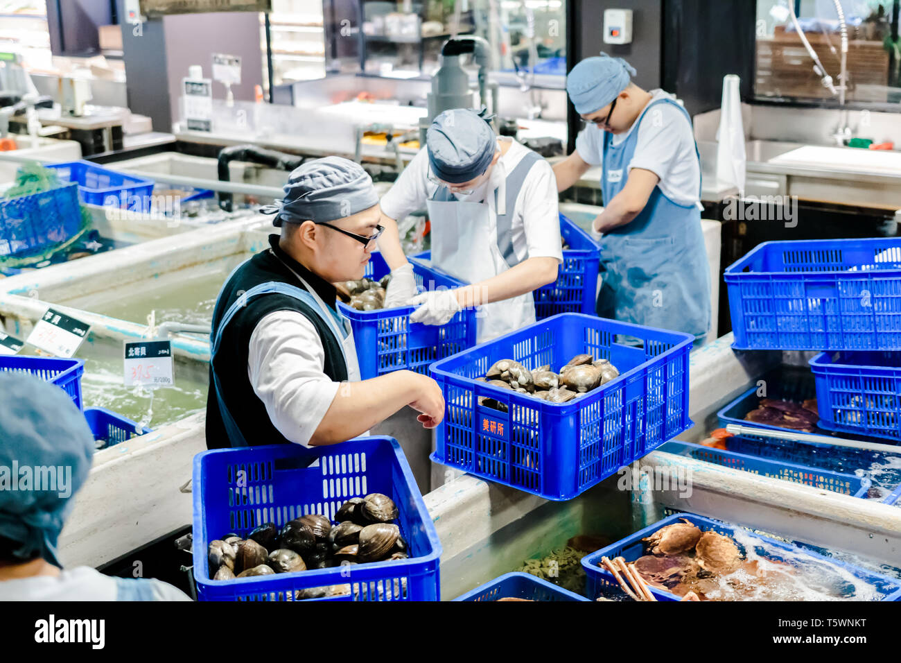 Workers at Addiction Aquatic Development (Part of Taipei Fish Market ...