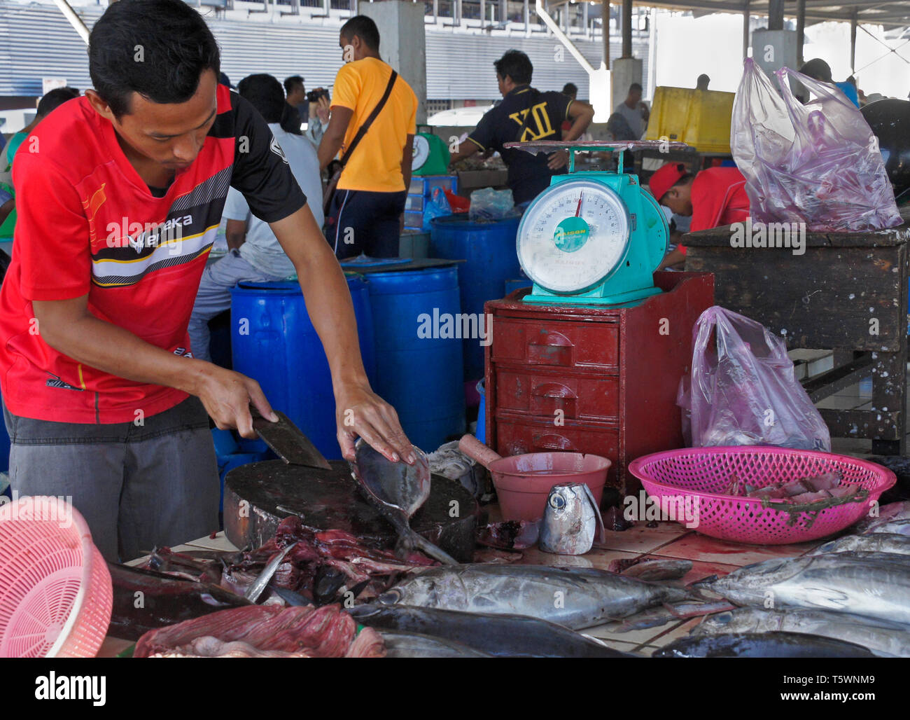 Sabah fish hi-res stock photography and images - Alamy