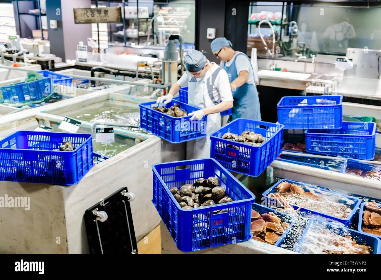 Workers at Addiction Aquatic Development (Part of Taipei Fish Market ...