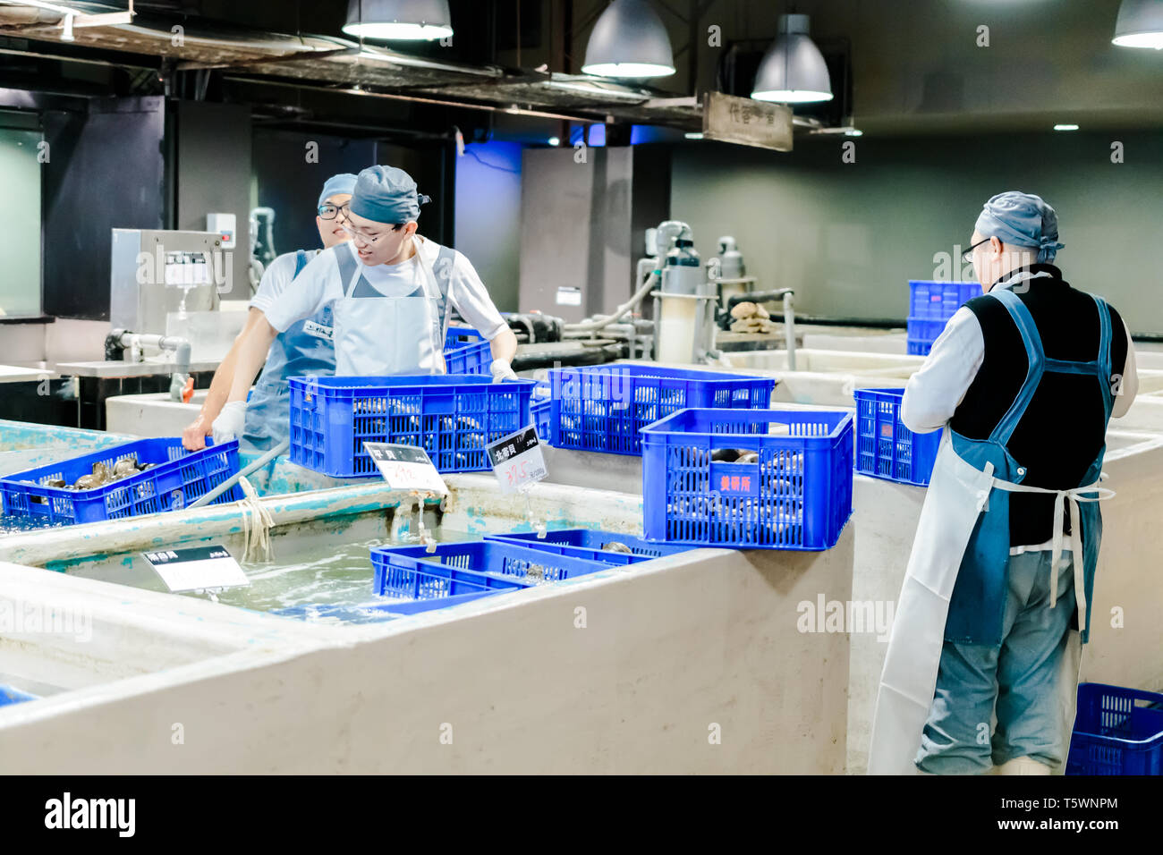 Workers at Addiction Aquatic Development (Part of Taipei Fish Market ...