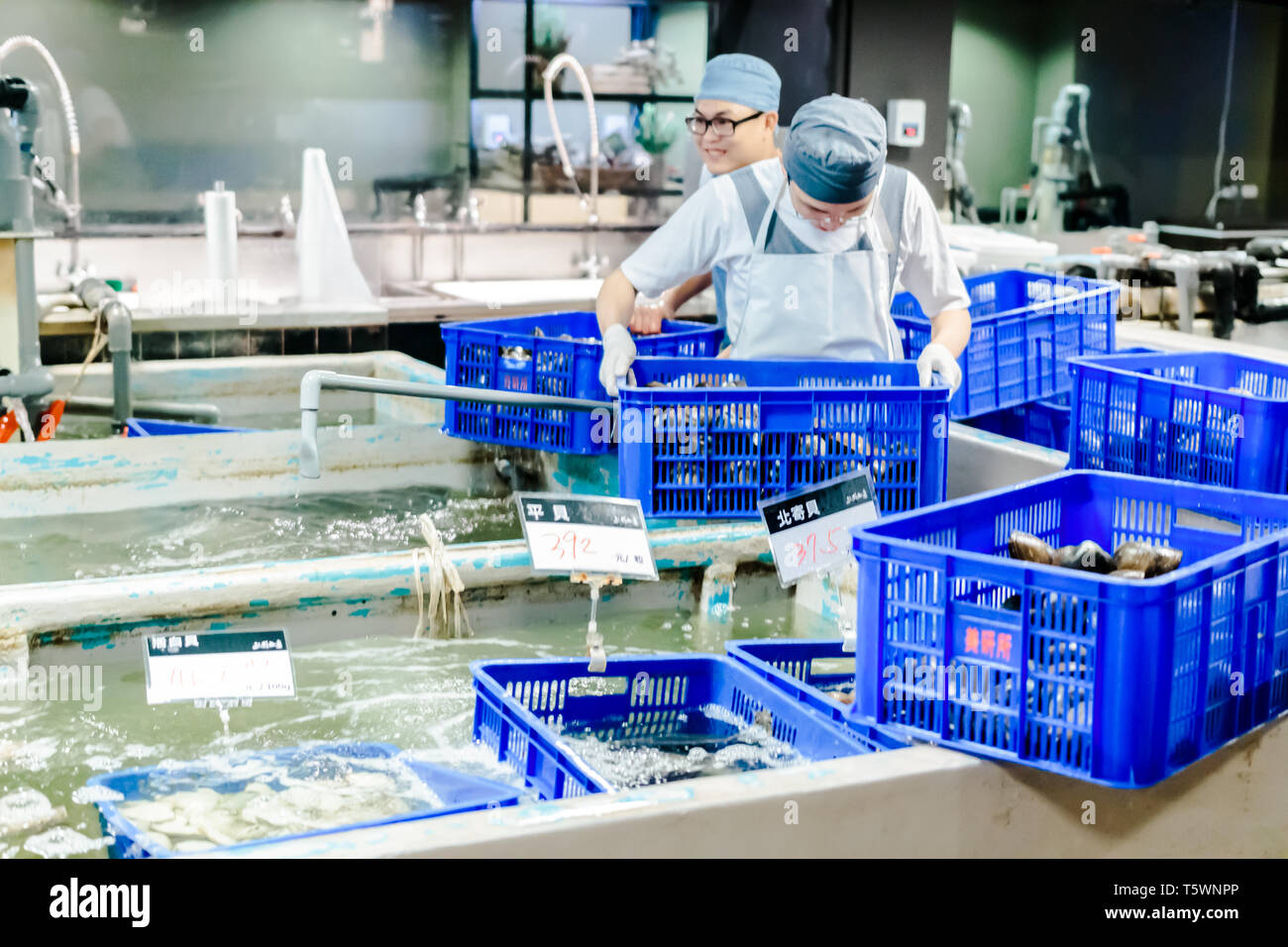 Workers at Addiction Aquatic Development (Part of Taipei Fish Market ...