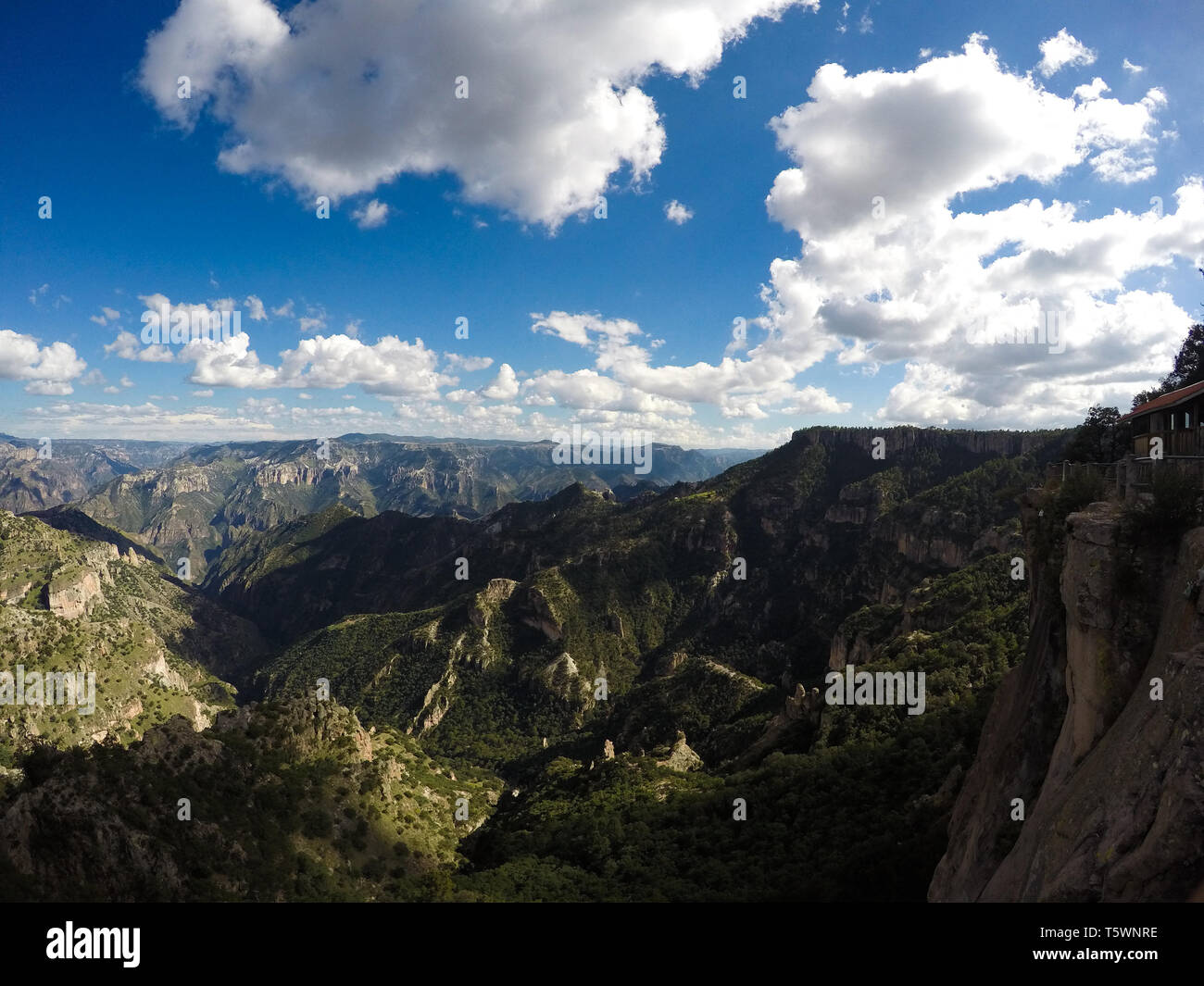 Chihuahua chepe hi-res stock photography and images - Alamy