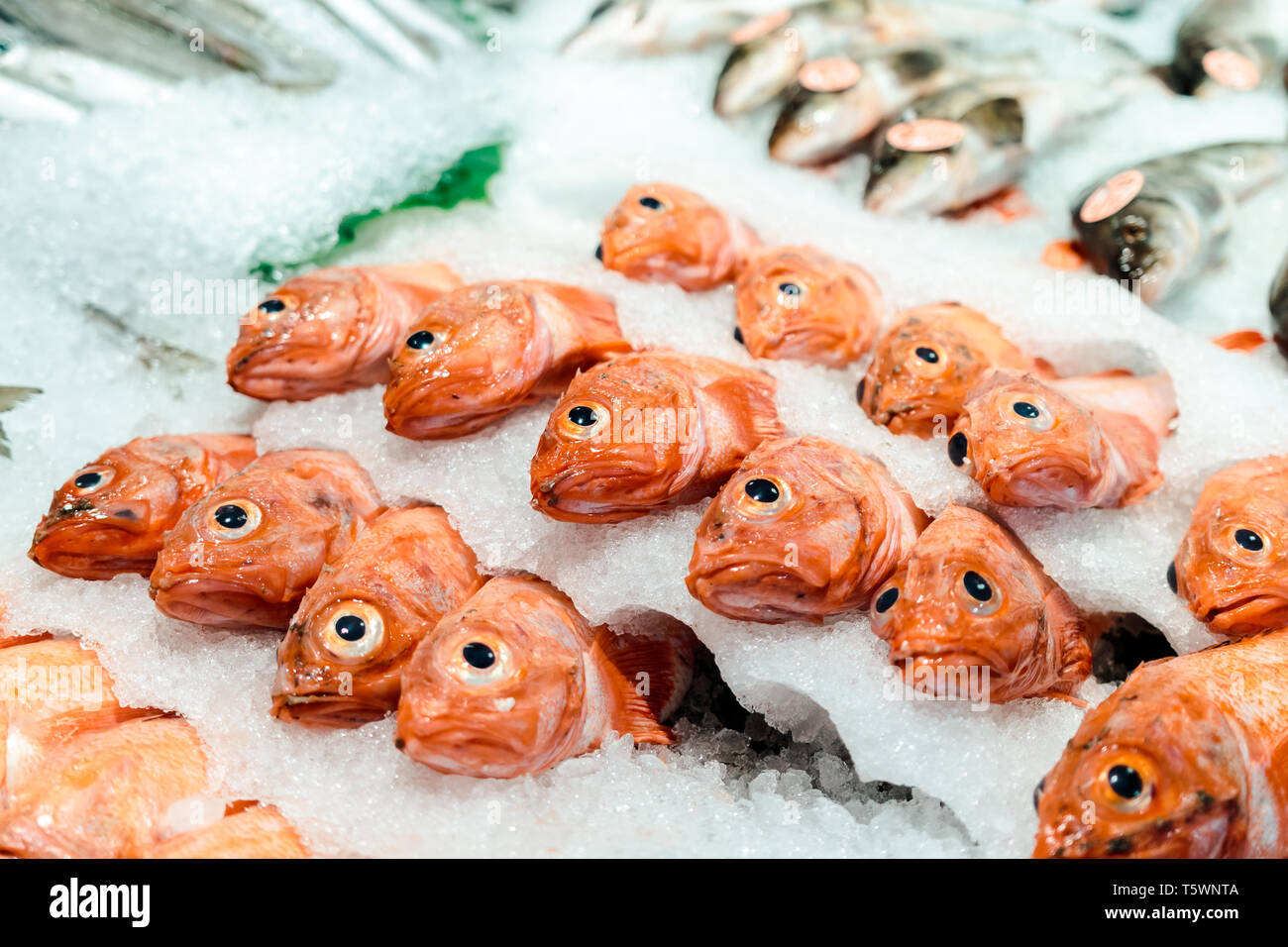 Fresh fish in the ice frozen container at Taipei fish market to be sell ...