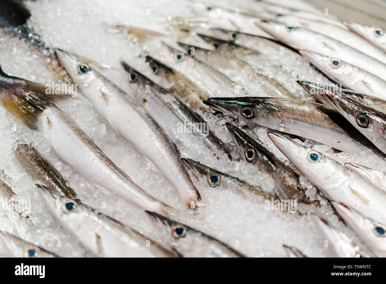 Fresh fish in the ice frozen container at Taipei fish market to be sell ...