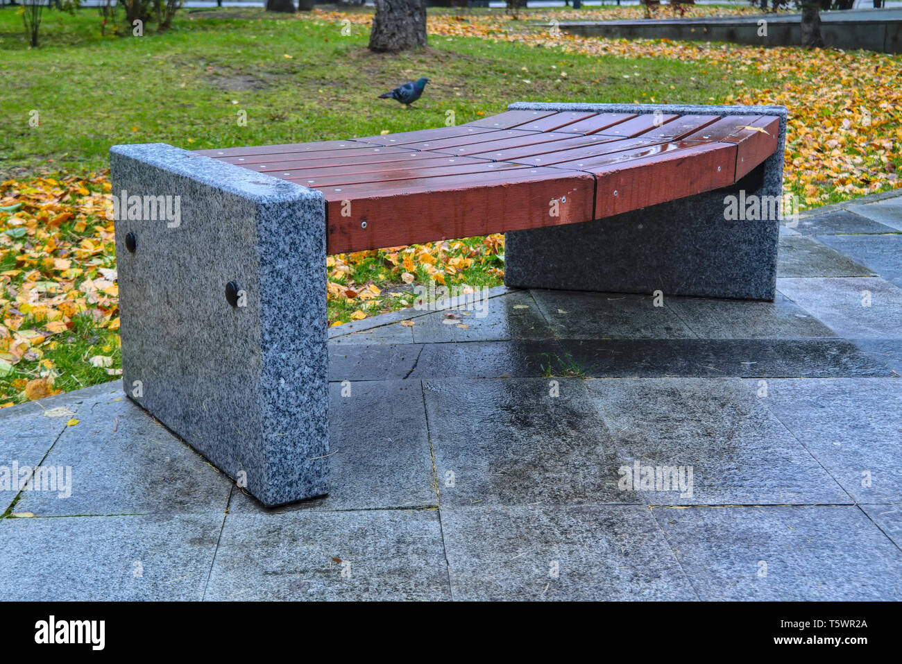Autumn park bench, rainy texture background. Rain in autumn park, drops ...