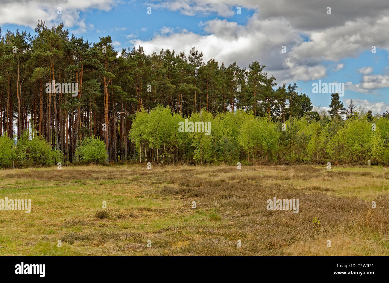 FINDHORN FOUNDATION ECO COMMUNITY GREEN BURIAL GROUND SURROUNDED BY ...
