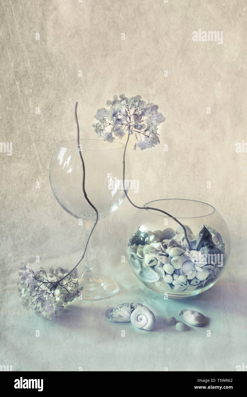 Art still life with sea shells and dry twigs Stock Photo - Alamy